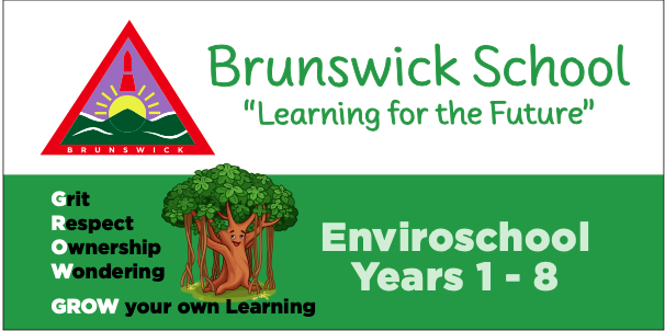 Brunswick School